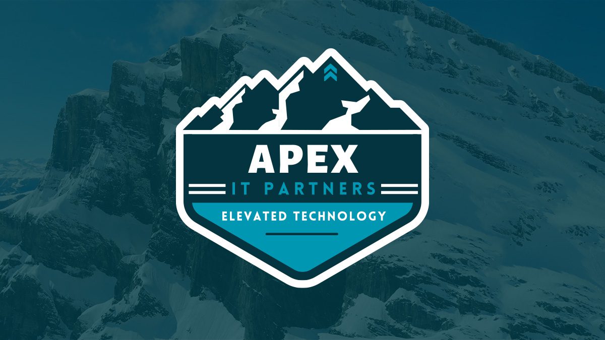 Privacy Policy - APEX IT Partners